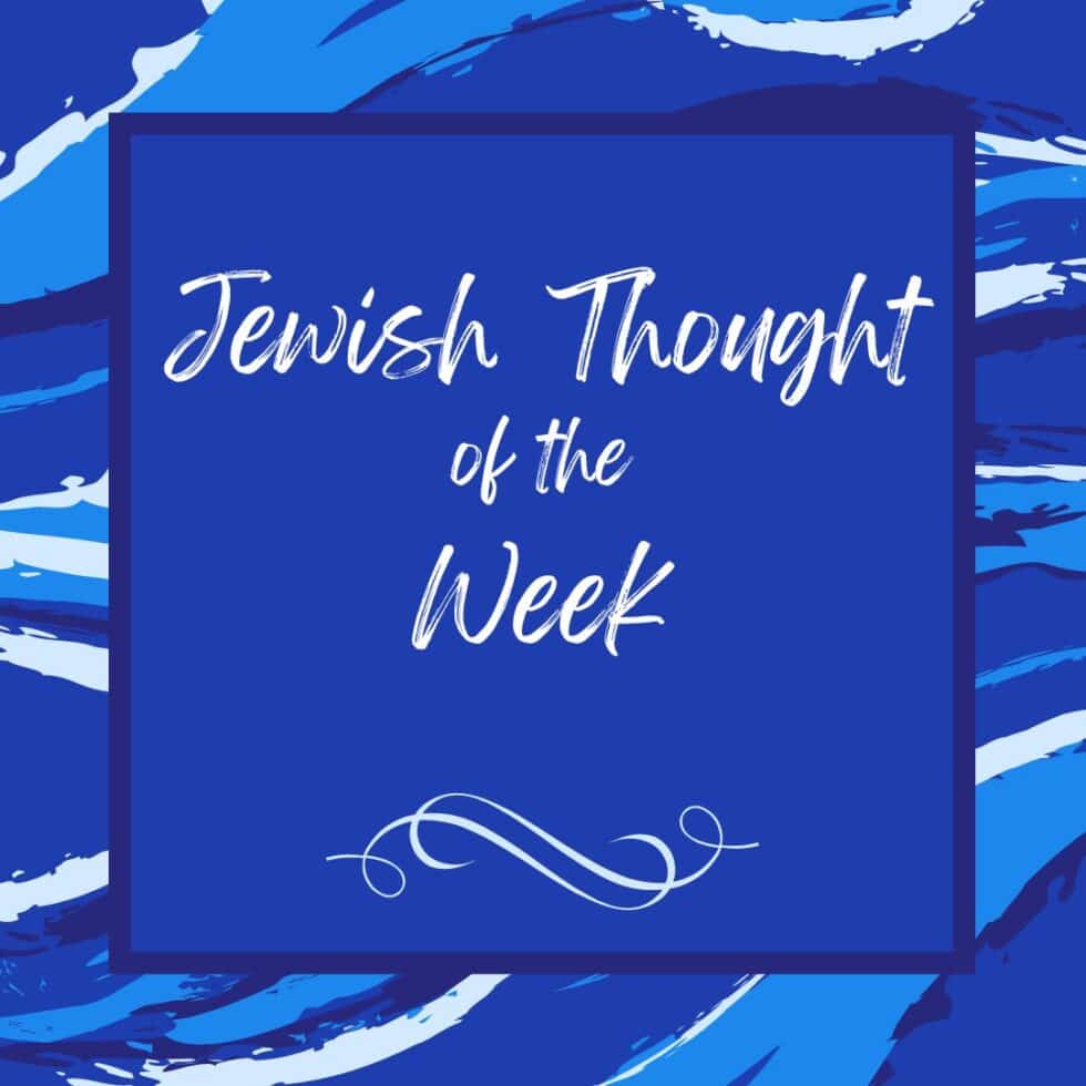 Dreams, Light and Growth Mindset ⋆ Buffalo Jewish Federation